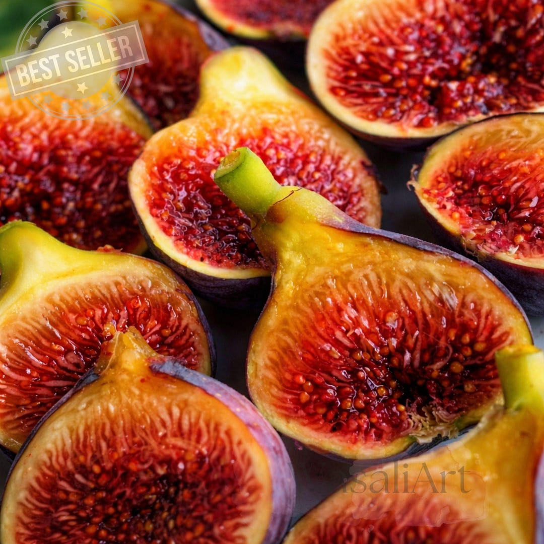 Fignomenal Fig Tree – Compact Dwarf Edible Fruit Plant for Patio ...