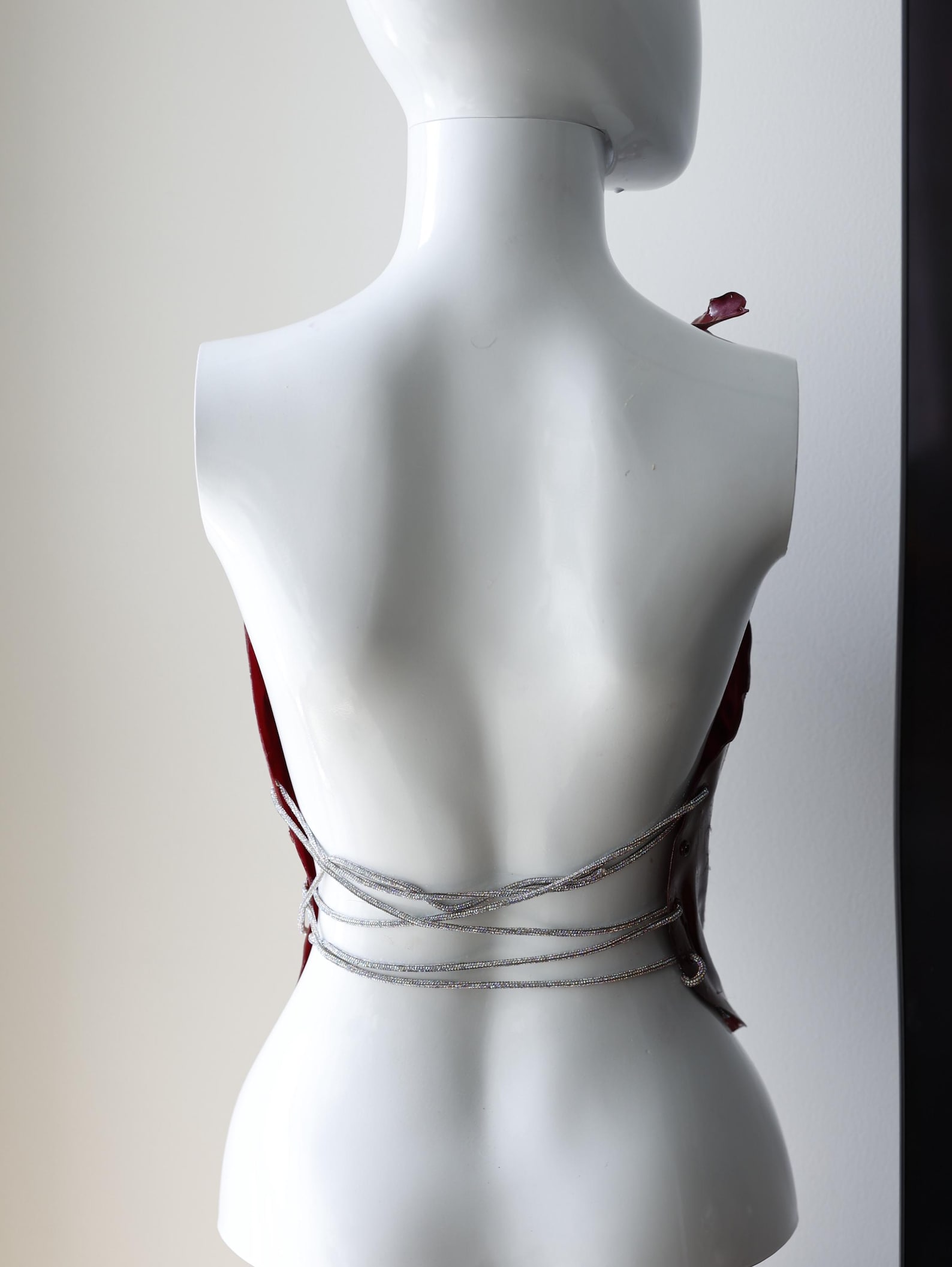 Burgundy Plastic Custom Corset Bustier Top, Breastplate Armor Costumes ...