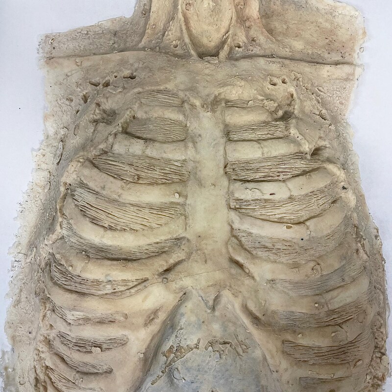 Zombie Chest Costume - Etsy