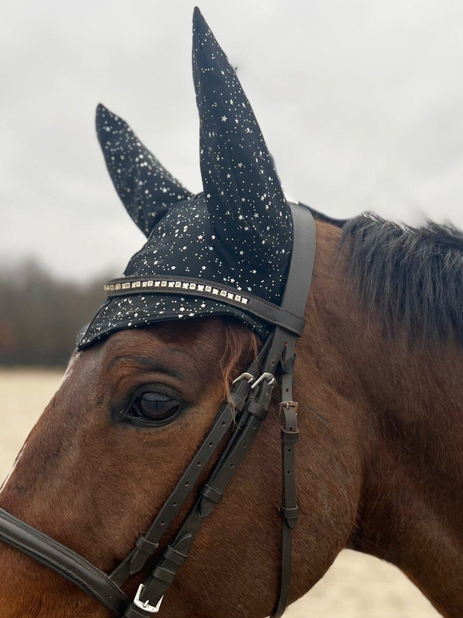 Star Noir Fly Bonnet - Etsy