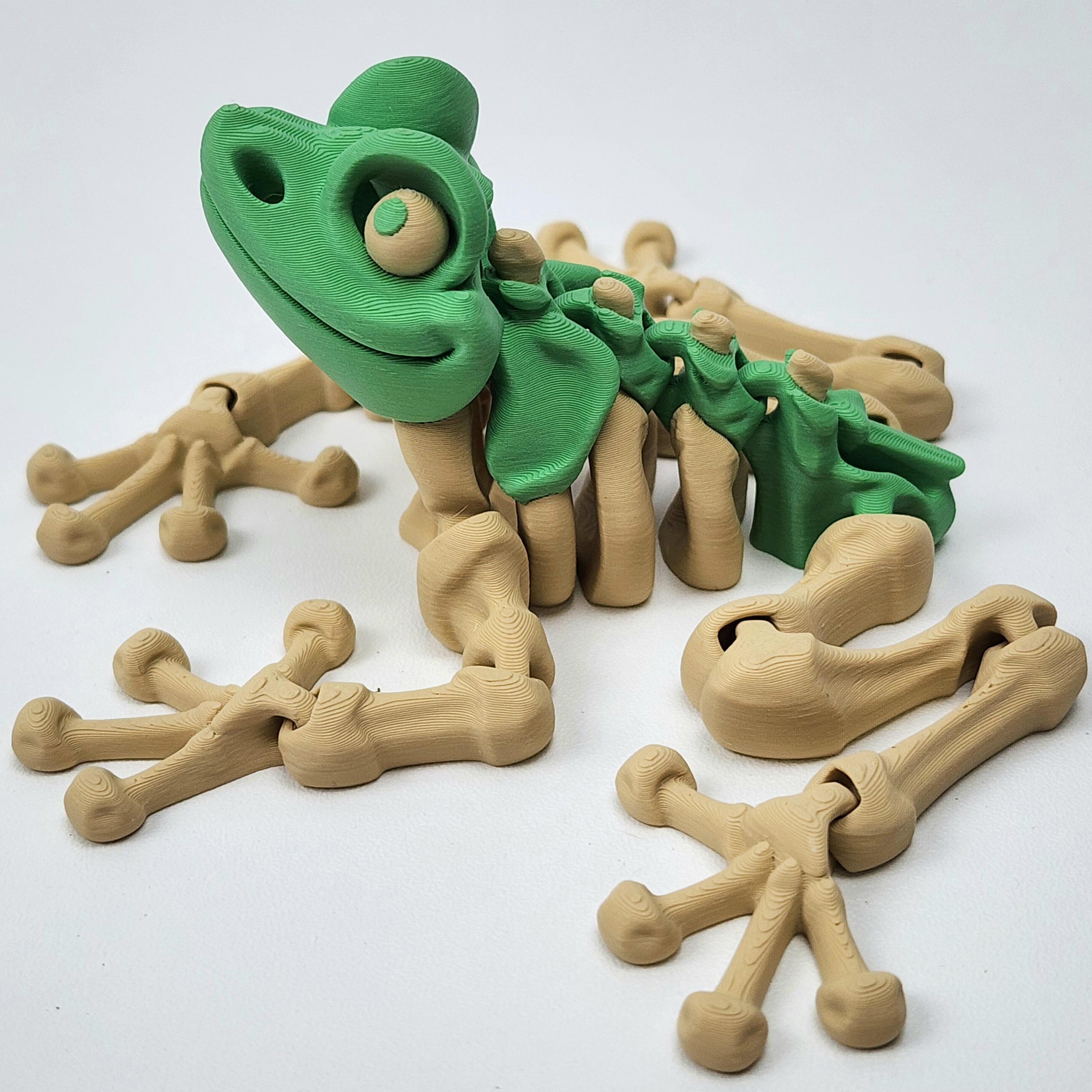 Articulated Skeleton Frog Fidget Toy Realistic Frog Flexi Customizable ...