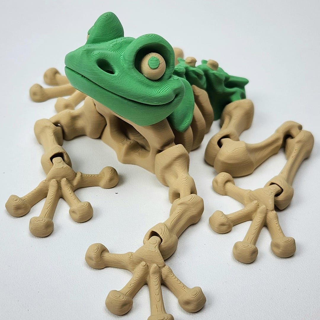 Articulated Skeleton Frog Fidget Toy - Realistic Frog Flexi ...