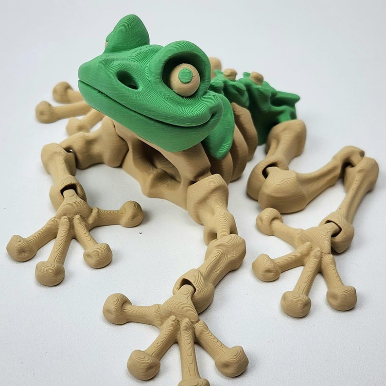 Articulated Skeleton Frog Fidget Toy - Realistic Frog Flexi ...