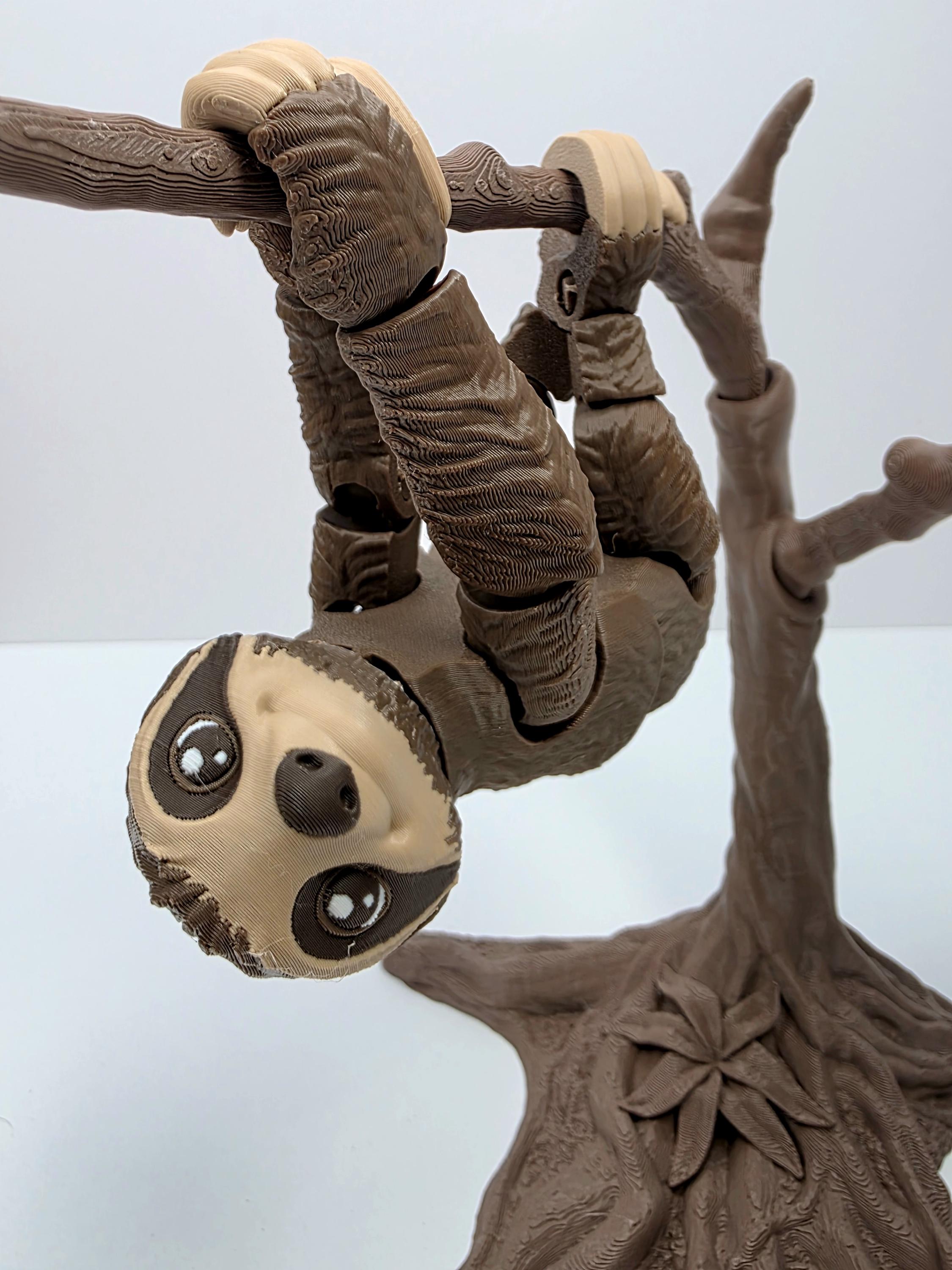 3D Printed Sloth - Articulated Fidget Toy - Customizable Realistic ...