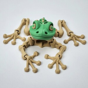 Articulated Skeleton Frog Fidget Toy - Realistic Frog Flexi ...
