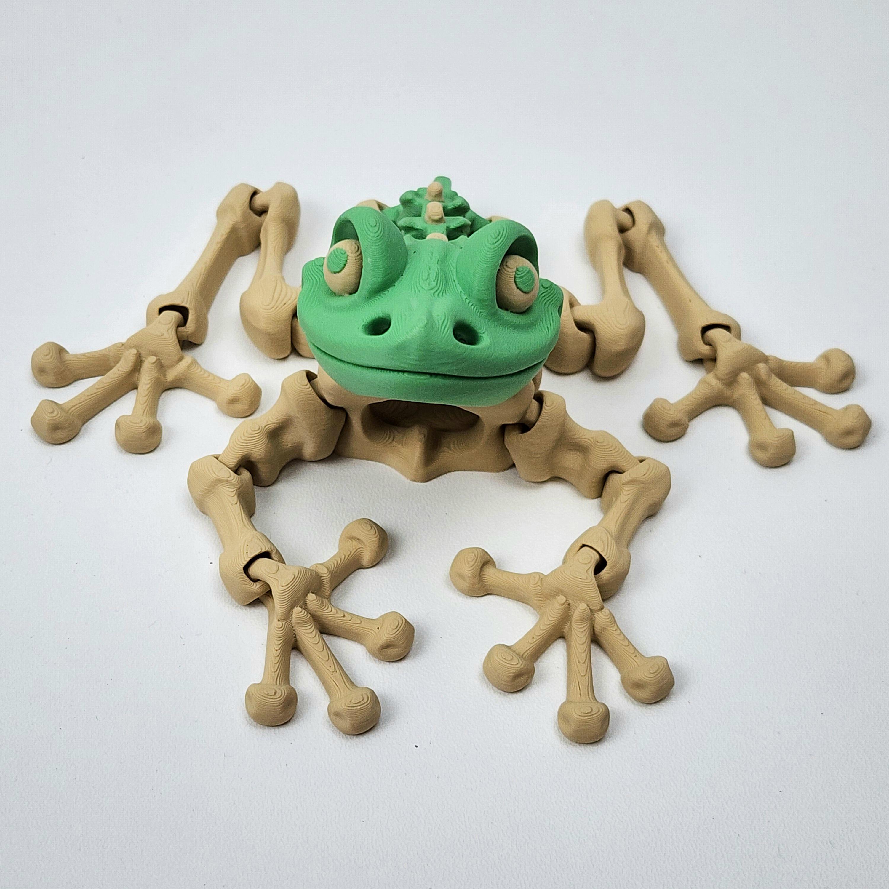 Articulated Skeleton Frog Fidget Toy Realistic Frog Flexi Customizable ...