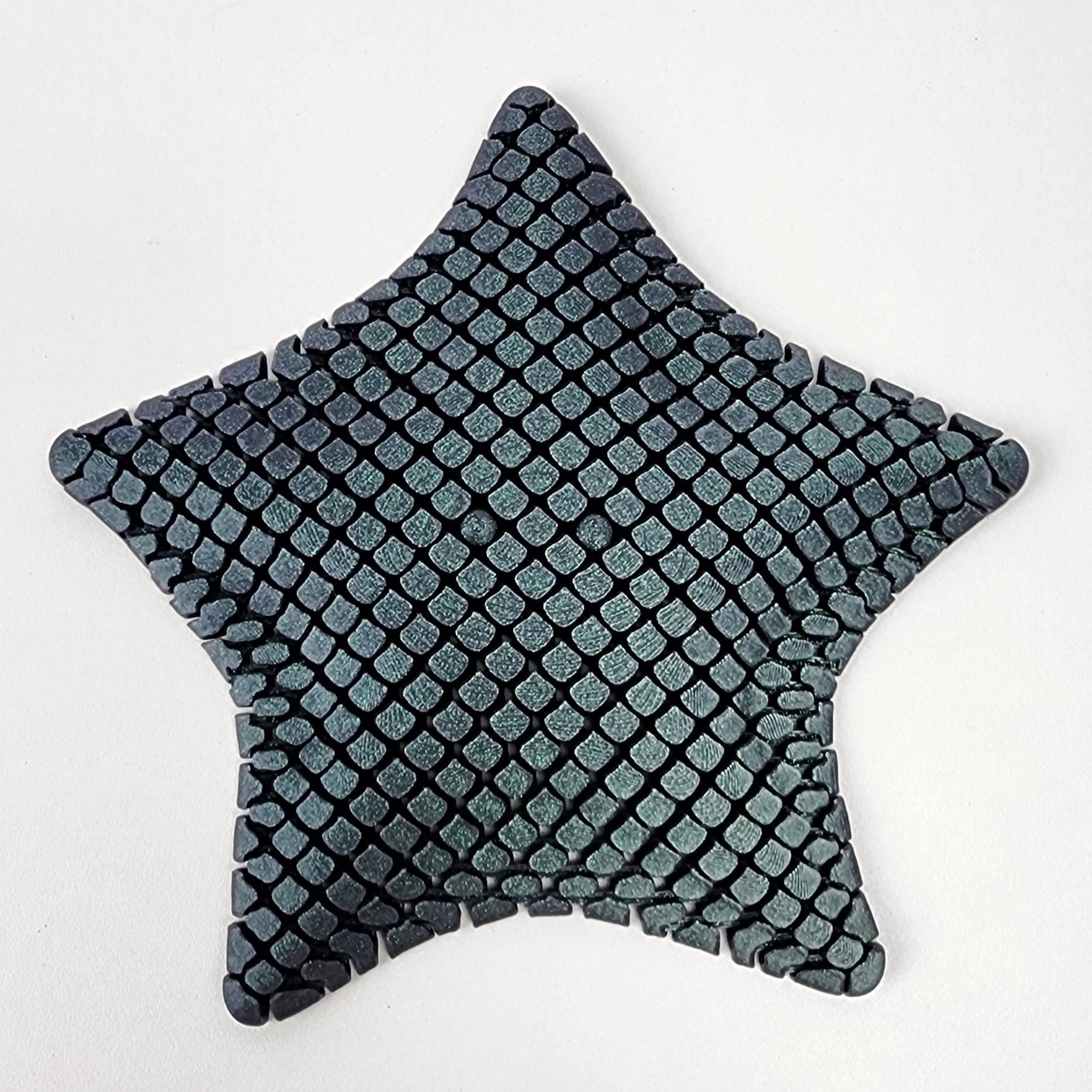 Articulated Starfish Fidget Toy - Realistic Starfish Flexi ...