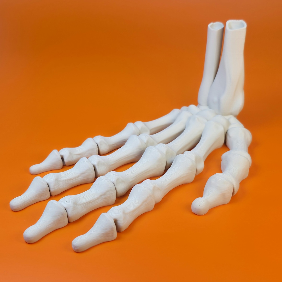 Skeleton Hand - 3D Printed Customizable and Articulated Flexi Fidget - Etsy