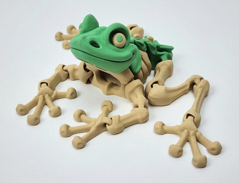 Articulated Skeleton Frog Fidget Toy Realistic Frog Flexi Customizable ...