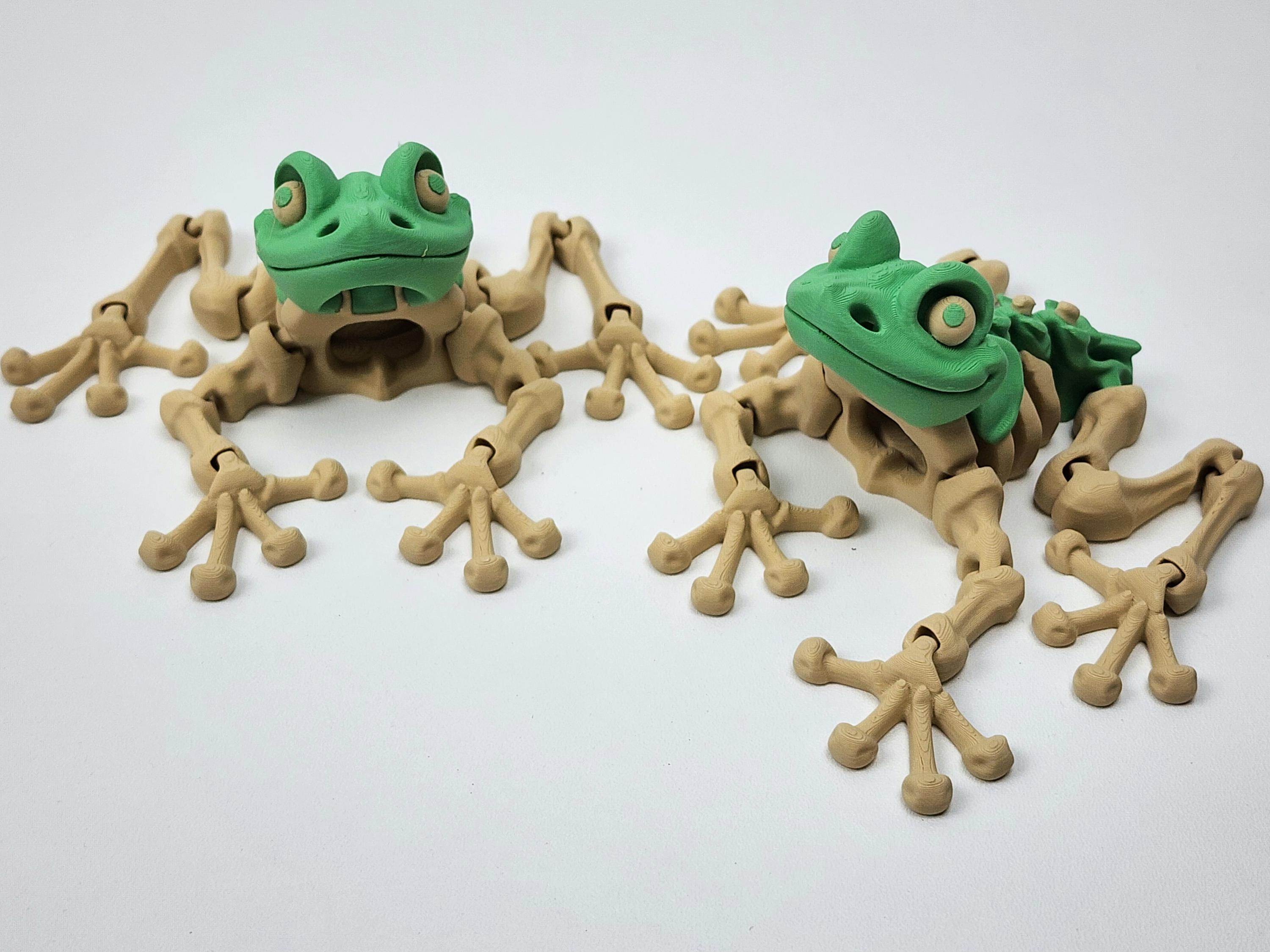 Articulated Skeleton Frog Fidget Toy - Realistic Frog Flexi ...