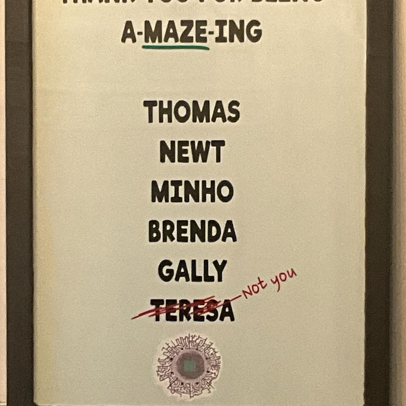 The Maze Runner - Etsy