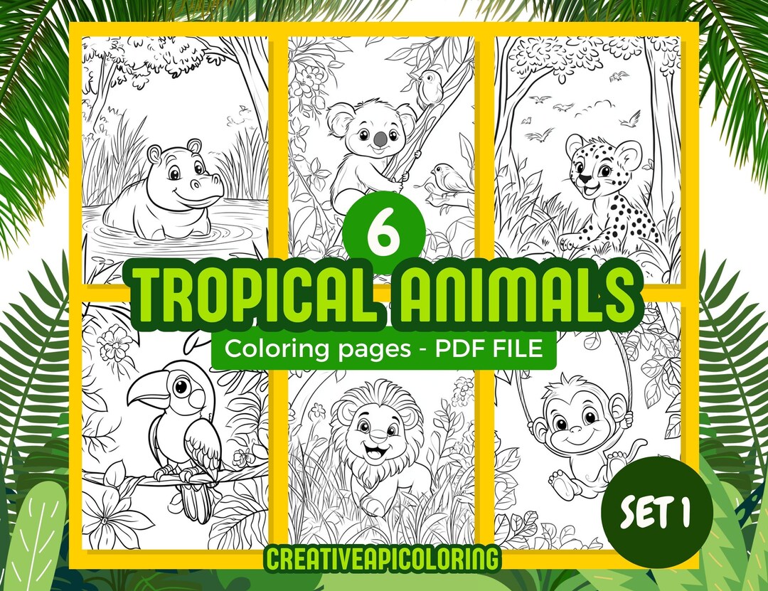 Tropical Animals Collection Coloring Book SET 1 by Creativeapicoloring ...