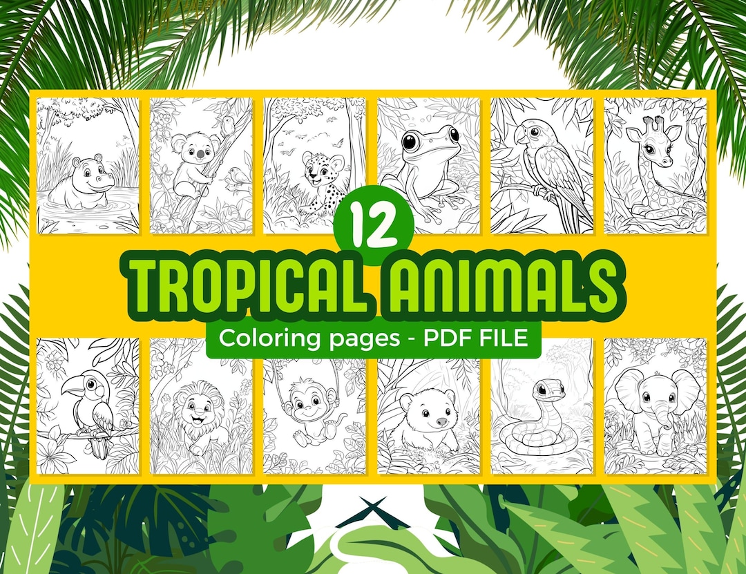 Tropical Animals Coloring Book SET 1 & 2 by Creativeapicoloring - Etsy
