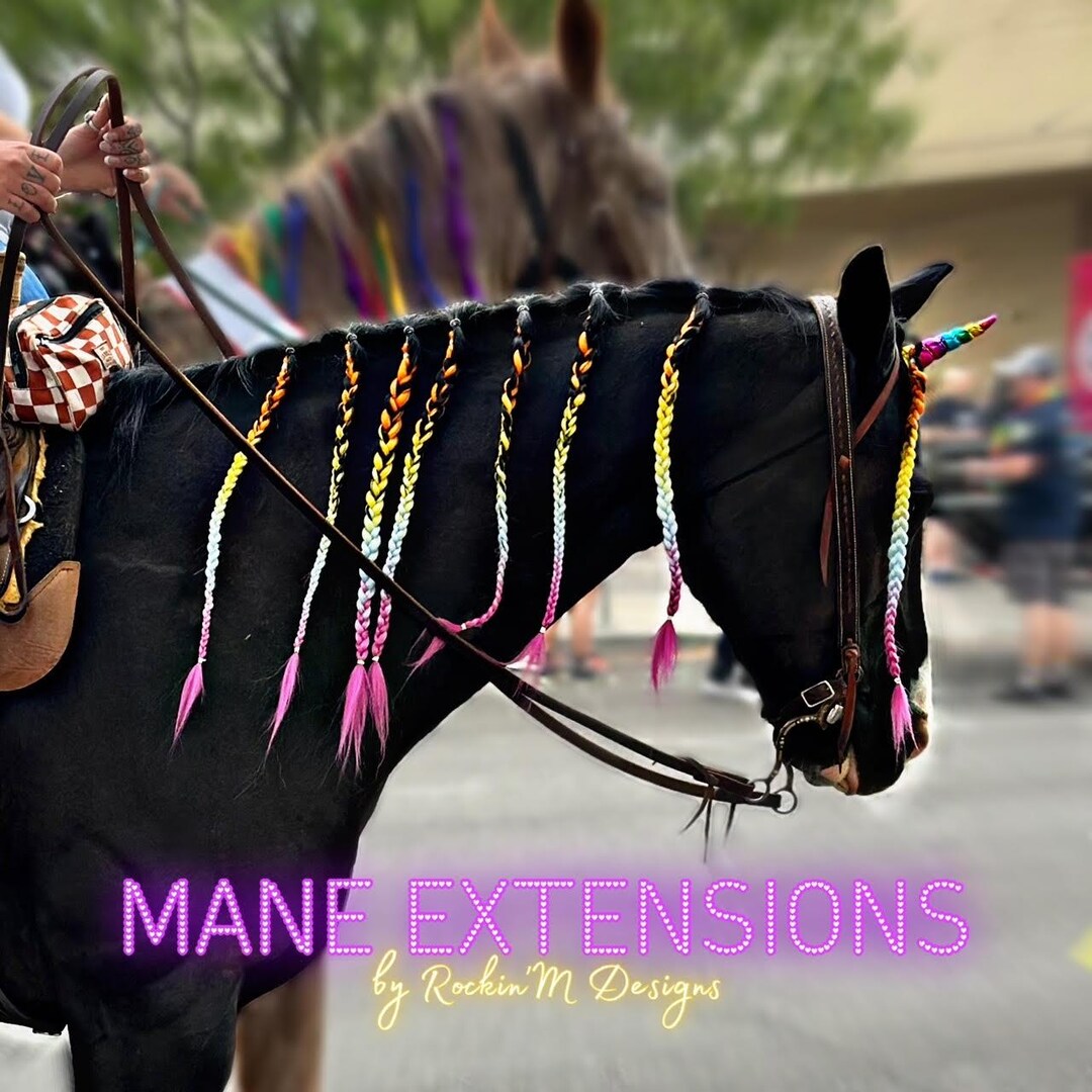 Custom Horse Mane Extensions mini - Etsy