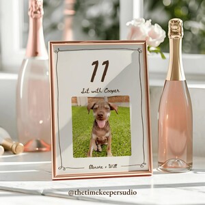 Dog Photo Wedding Table Numbers Template Cute Unique Handwritten ...