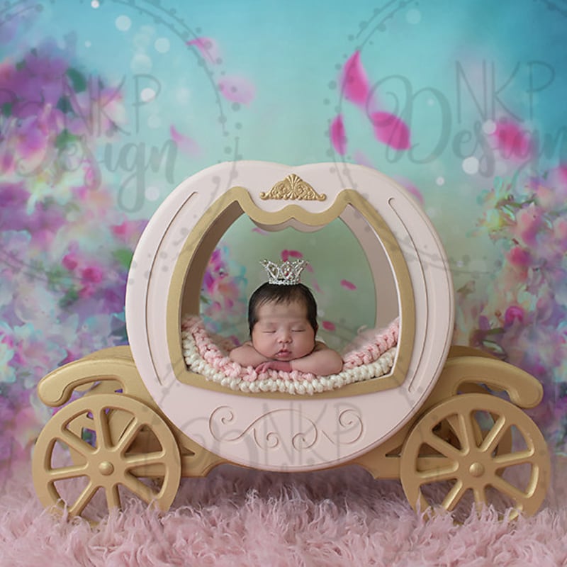 Cinderella Backdrop - Etsy