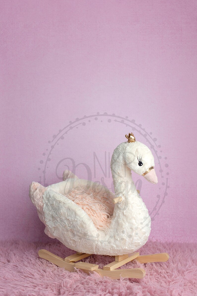 Newborn Girl Digital Prop Background Backdrop Princess Swan Rocker ...