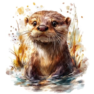 16 Cute Otter Swimming Watercolor Clipart, Printable High Quality ...