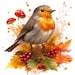 10 Robin Autumn Watercolor Clipart, Printable High Quality Watercolor ...