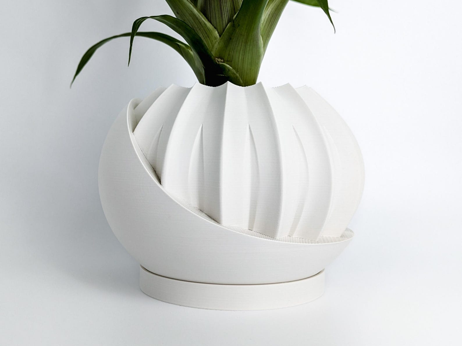 Lotusvault Lotus Secret Compartment Planter — Hidden Storage Push-lock ...