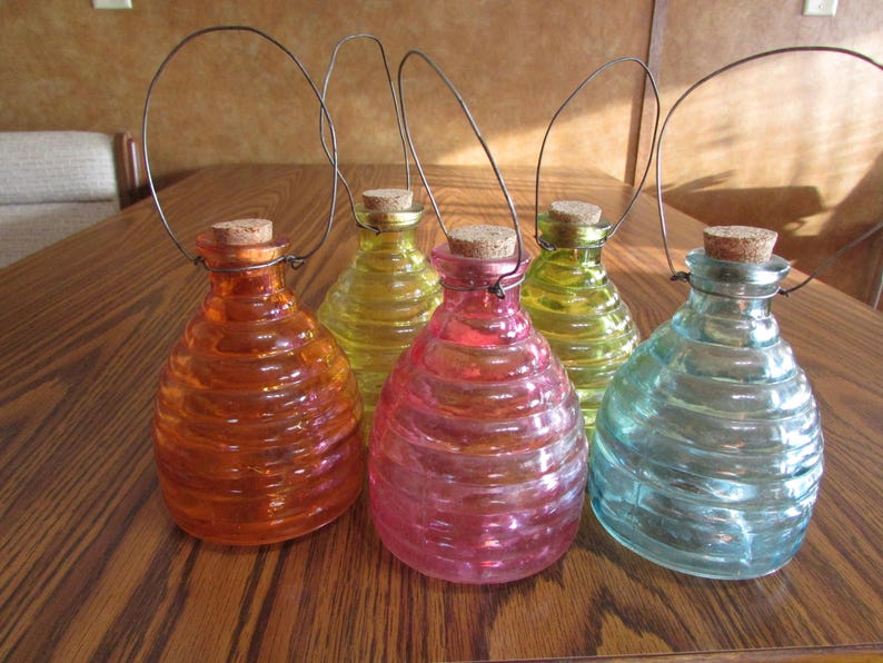 Retro Decorative Glass Wasp Traps - Etsy