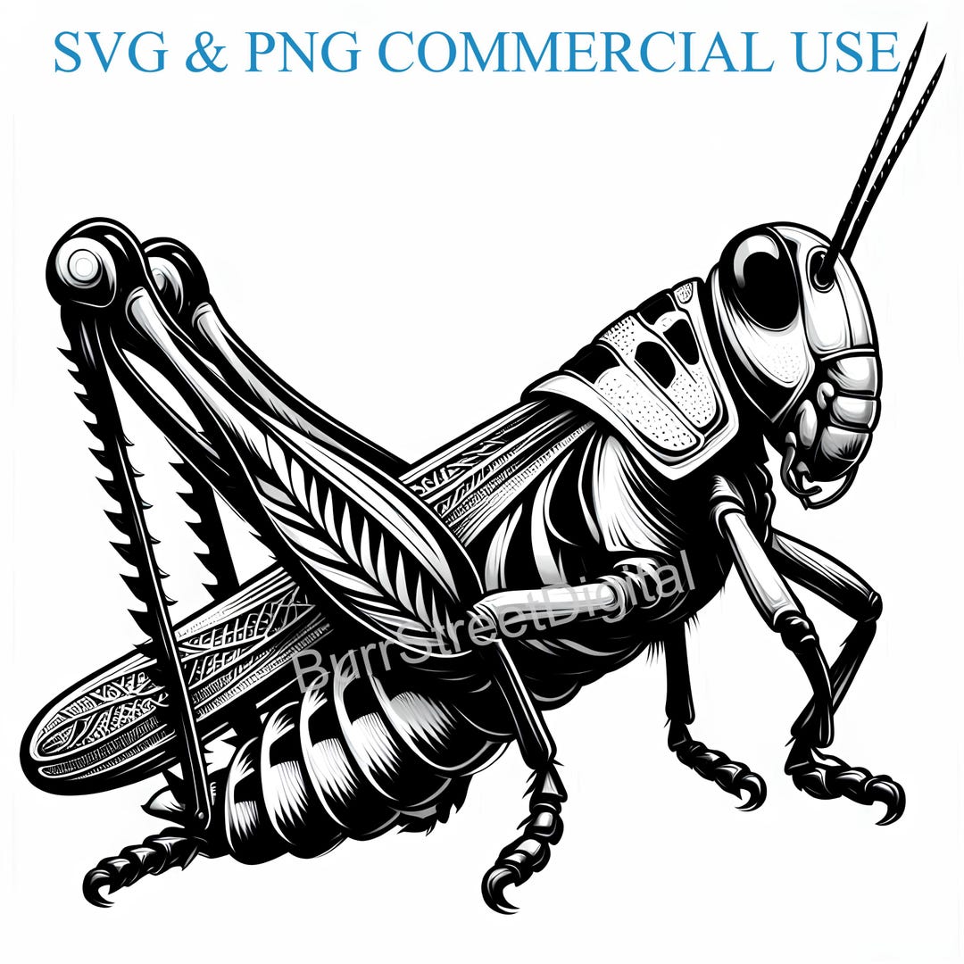 Grasshopper SVG & PNG Digital Files, Vector Graphic Design Print Laser ...