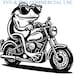Frog on a Motorcycle SVG & PNG Digital Files, Vector Graphic Design ...