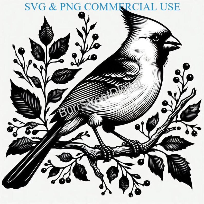Cardinal SVG & PNG Digital Files, Vector Graphic Design Print Laser ...