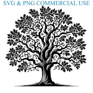 Oak Tree SVG & PNG Digital Files, Vector Graphic Design Print Laser ...
