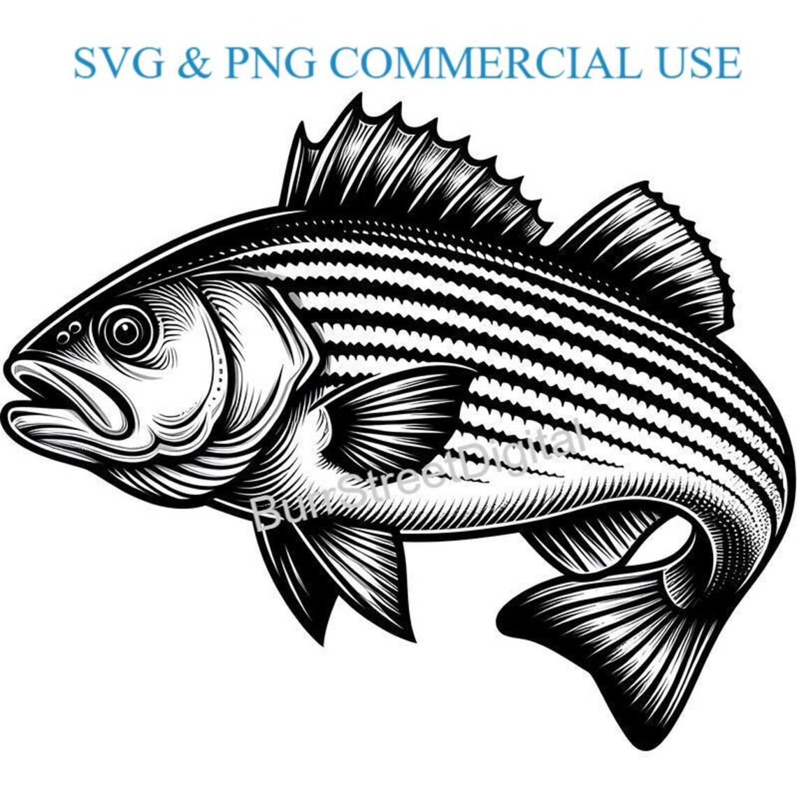 Striped Bass SVG & PNG Digital Files, Vector Graphic Design Print Laser ...