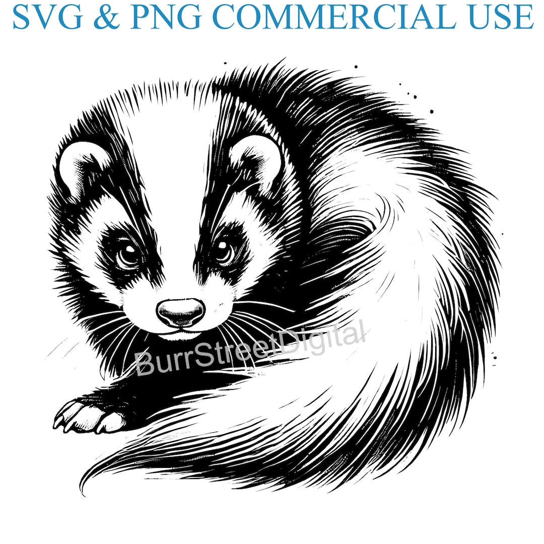 Skunk SVG & PNG Digital File for Cricut, Vector Graphic Design Cut ...