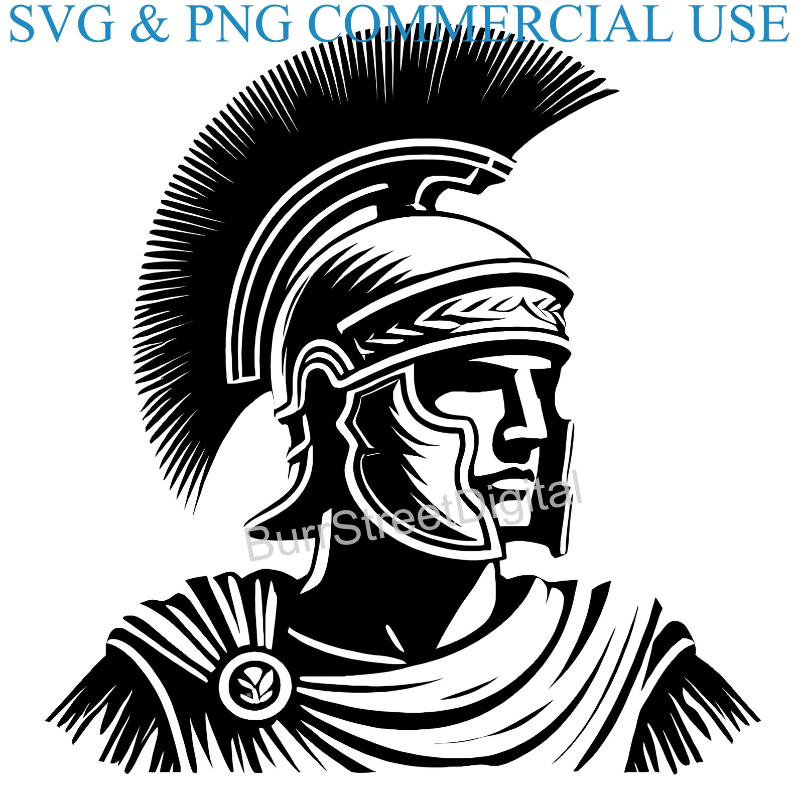 Roman Soldier Vector Graphic, SVG & PNG Files (digital Download) - Etsy