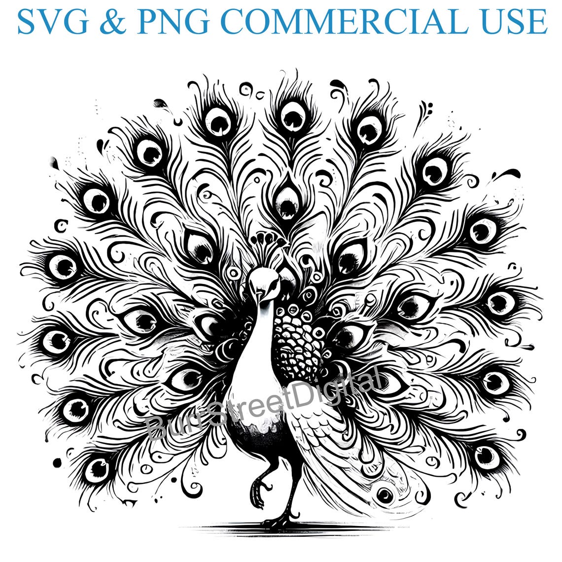 Peacock SVG & PNG Digital Files, Vector Graphic Design Print Laser ...