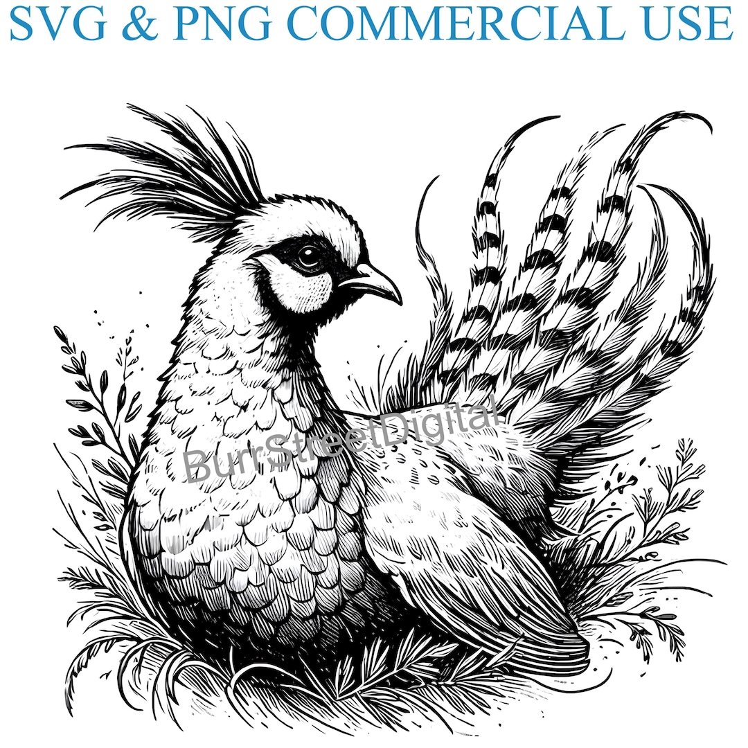 Pheasant SVG & PNG Digital Files, Vector Graphic Design Print Laser ...