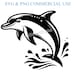 Dolphin Vector Graphic, SVG & PNG Files (digital Download) - Etsy