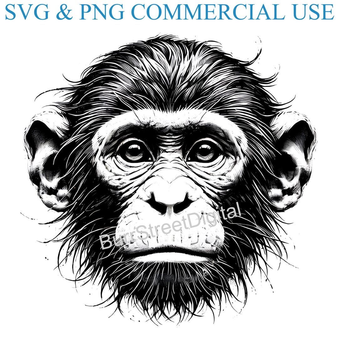 Monkey SVG & PNG Digital Files, Vector Graphic Design Print Laser ...