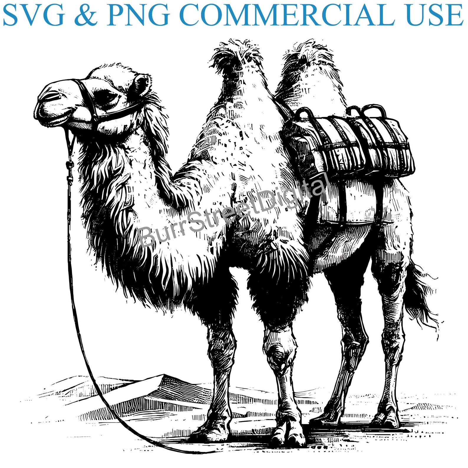 Camel SVG & PNG Files, Vector Graphic Design (digital Download) - Etsy