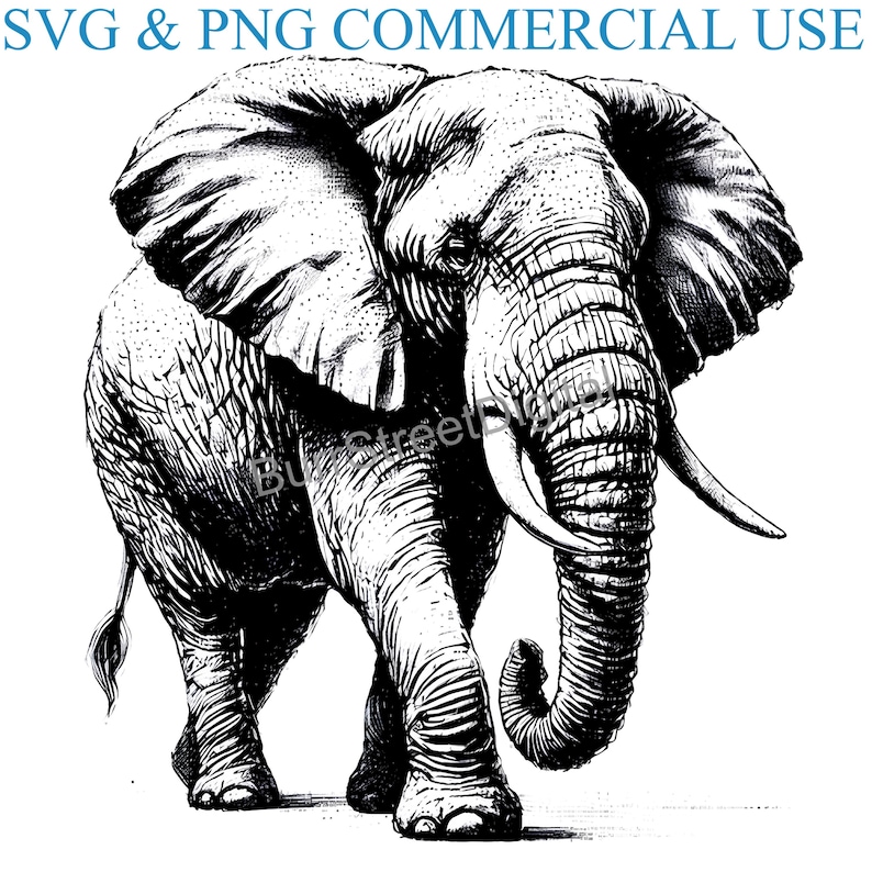 Elephant SVG & PNG Digital, Vector Graphic Design Print Laser Engrave ...