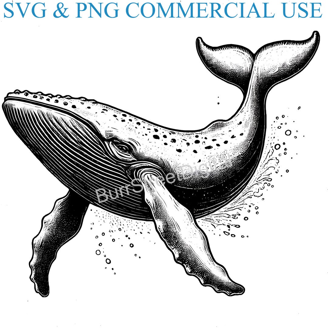 Whale SVG & PNG Digital Files, Vector Graphic Design Print Laser ...