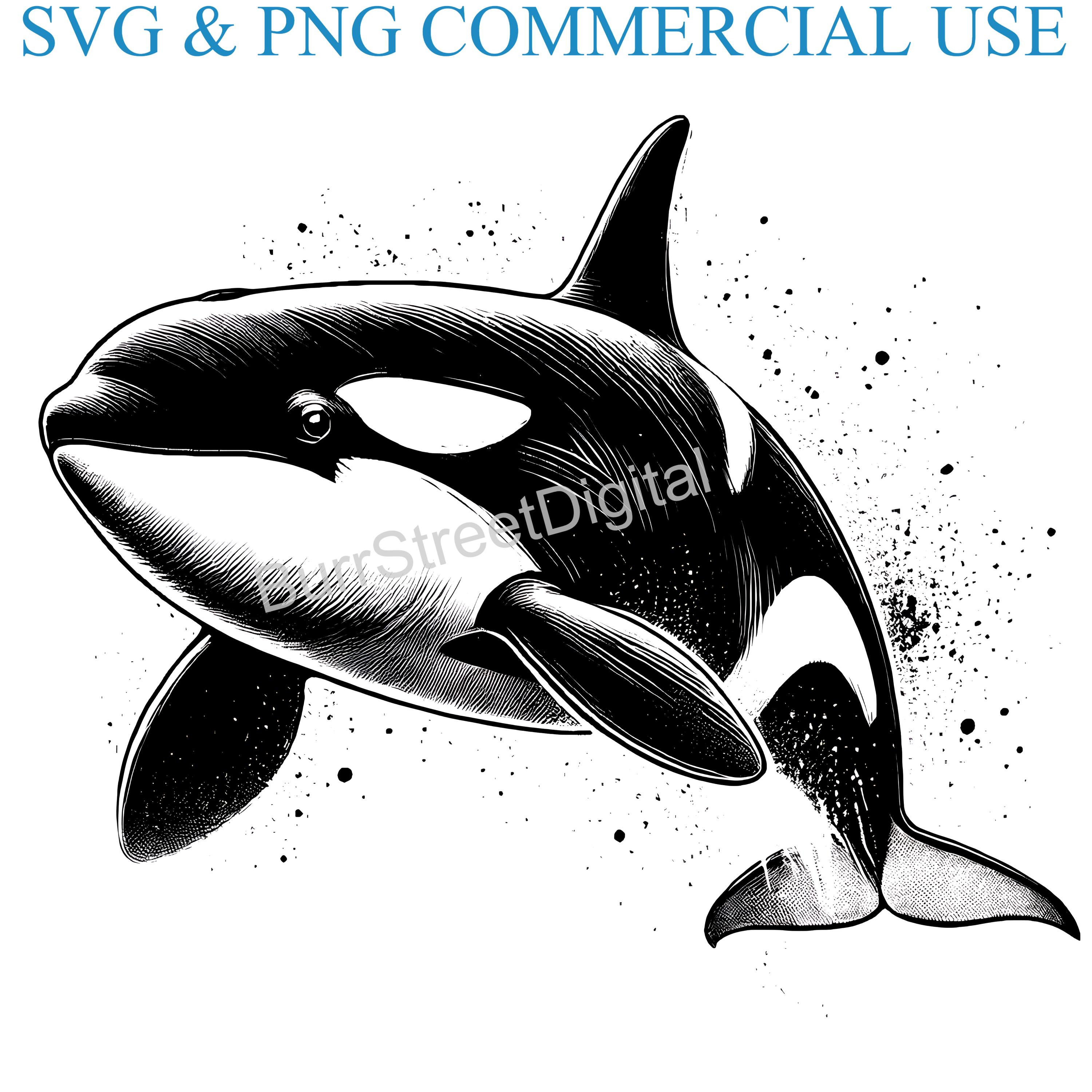Whale SVG & PNG Digital Files, Vector Graphic Design Print Laser Engrave Files, Instant Digital ...