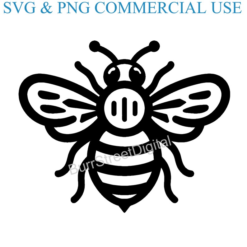 Bumble Bee SVG & PNG Digital Files for Cricut, Vector Graphic Design ...