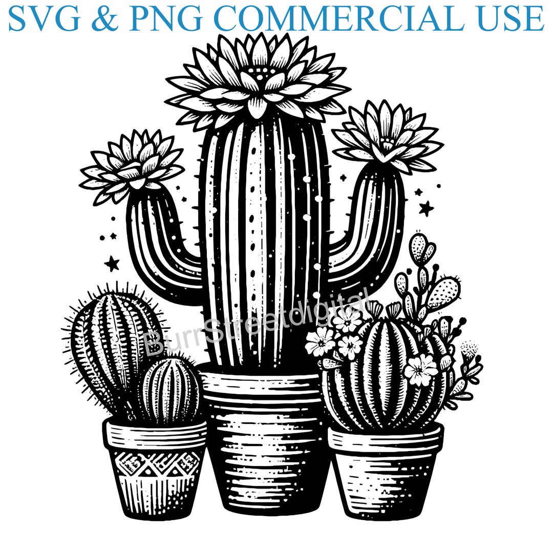 Cactus SVG & PNG Digital Files, Vector Graphic Design Print Laser ...