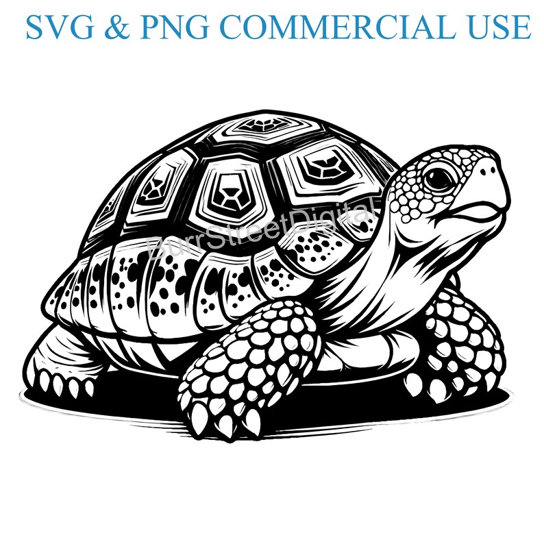 Sulcata Tortoise SVG & PNG Digital Files, Vector Graphic Design Print ...