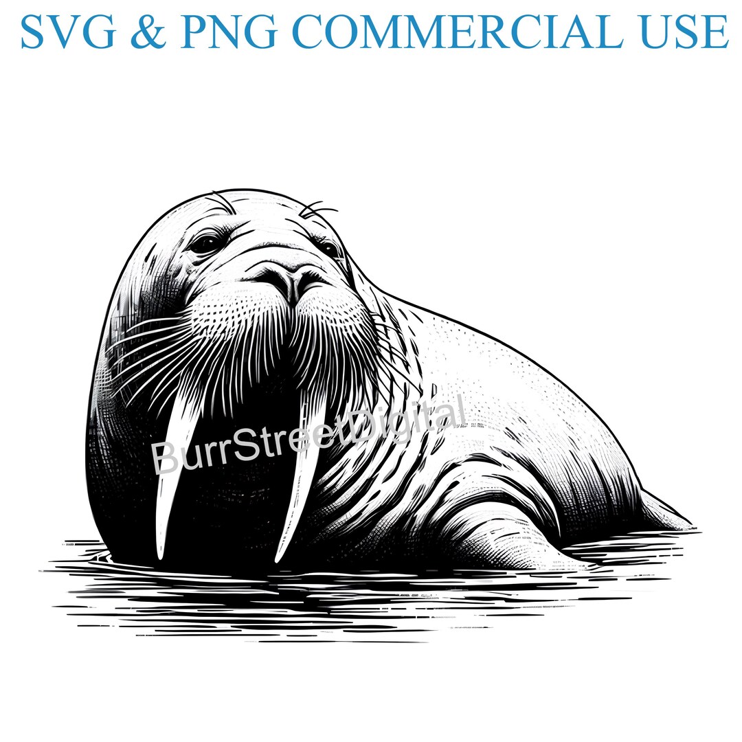 Walrus SVG & PNG Digital Files, Vector Graphic Design Print Laser ...