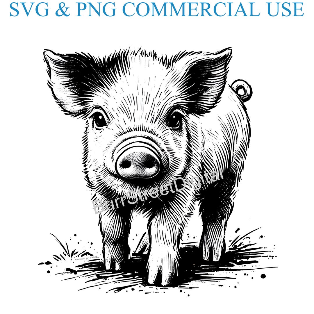 Baby Pig SVG, PNG, Vector Graphic (digital Download) - Etsy