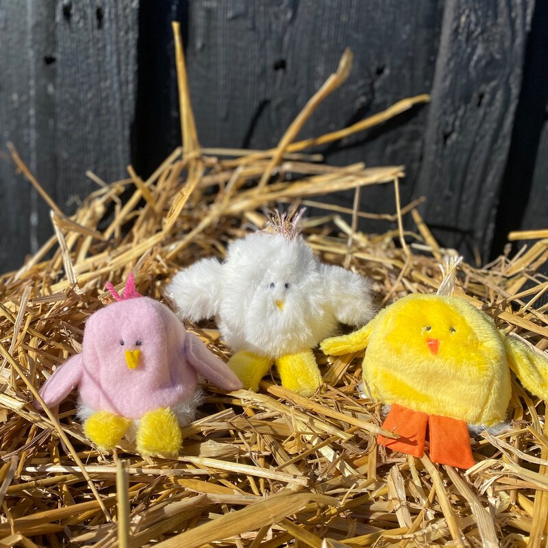 Primitive Chicks - Etsy