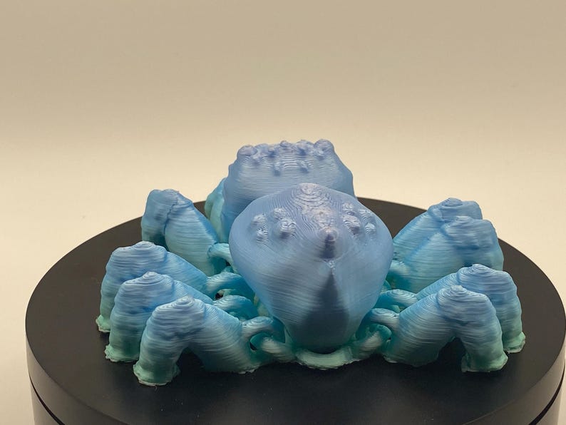 Cosmic Jumping Spider - Your New Pocket-sized Companion! - Etsy