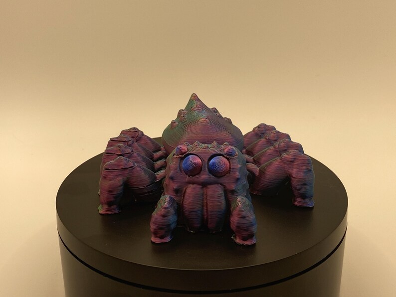 Cosmic Jumping Spider - Your New Pocket-sized Companion! - Etsy