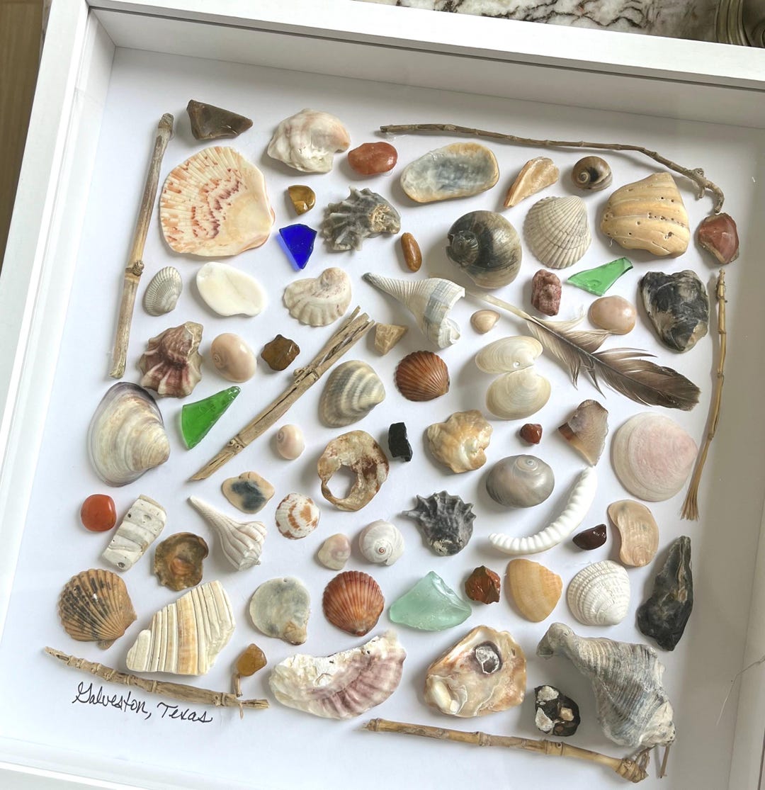 Texas Seashell Seaglass Shadow Box Wall Art Hanging 10x10 - Etsy