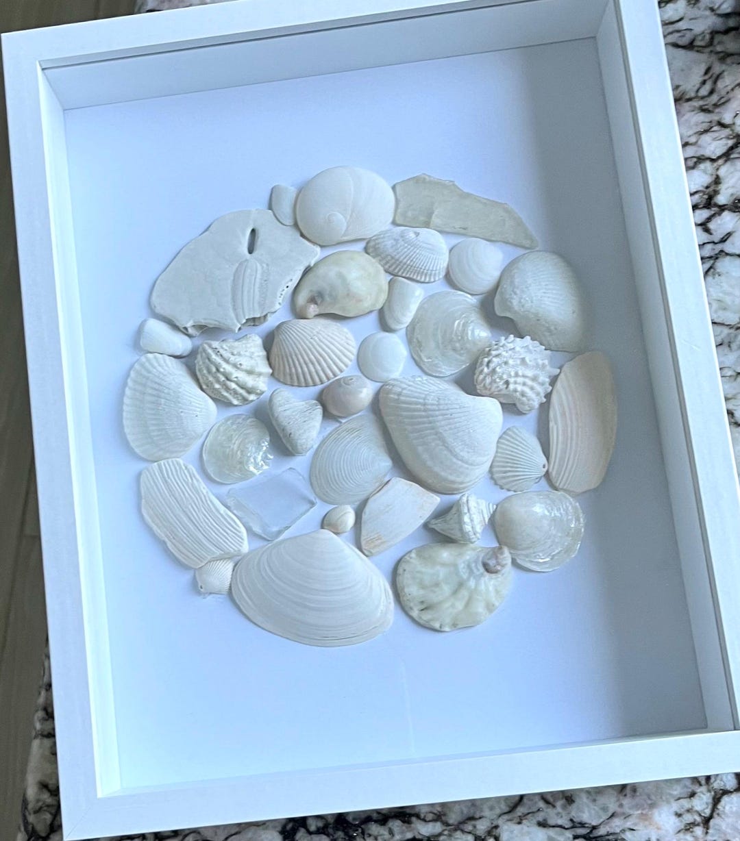 White Seashell Circle Shadow Box Wall Art Hanging 8x10 - Etsy